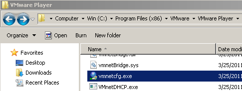 VMware Player Networking Options